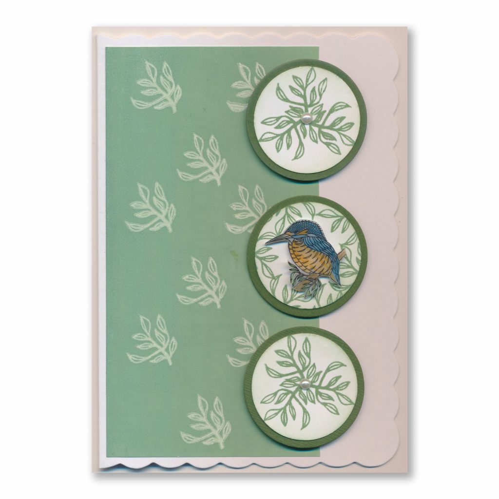 Design of the Week – Barbara Gray Blog