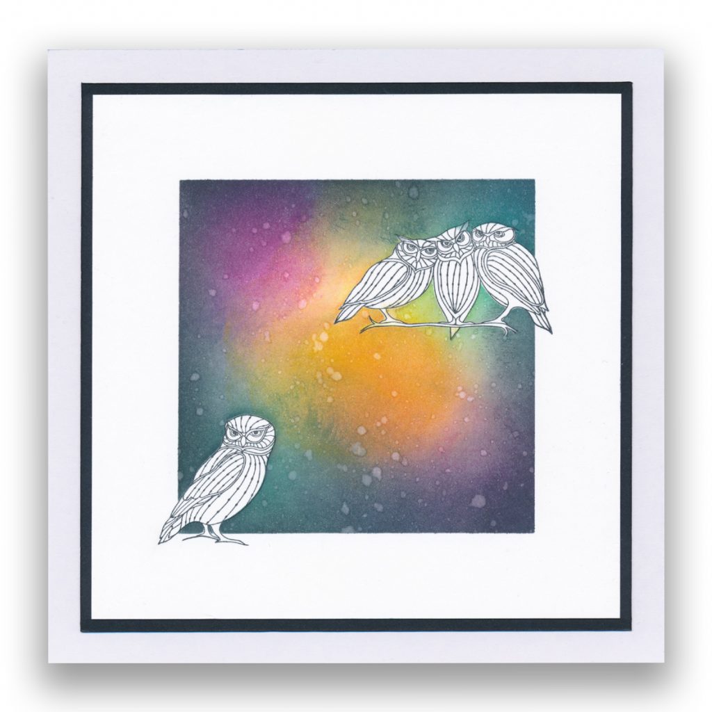 Design of the Week – Barbara Gray Blog