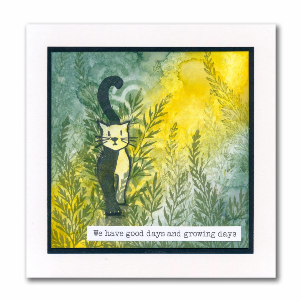 Old is Gold – but BOW-WOB rocks! – Barbara Gray Blog